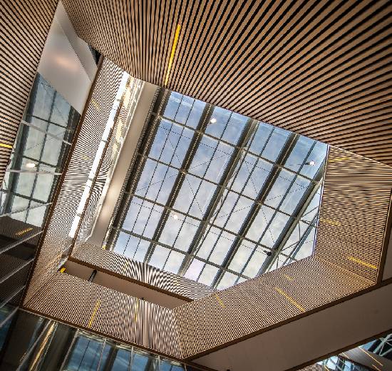 Arena Animation Offers Career-Focused AVGC-XR Courses